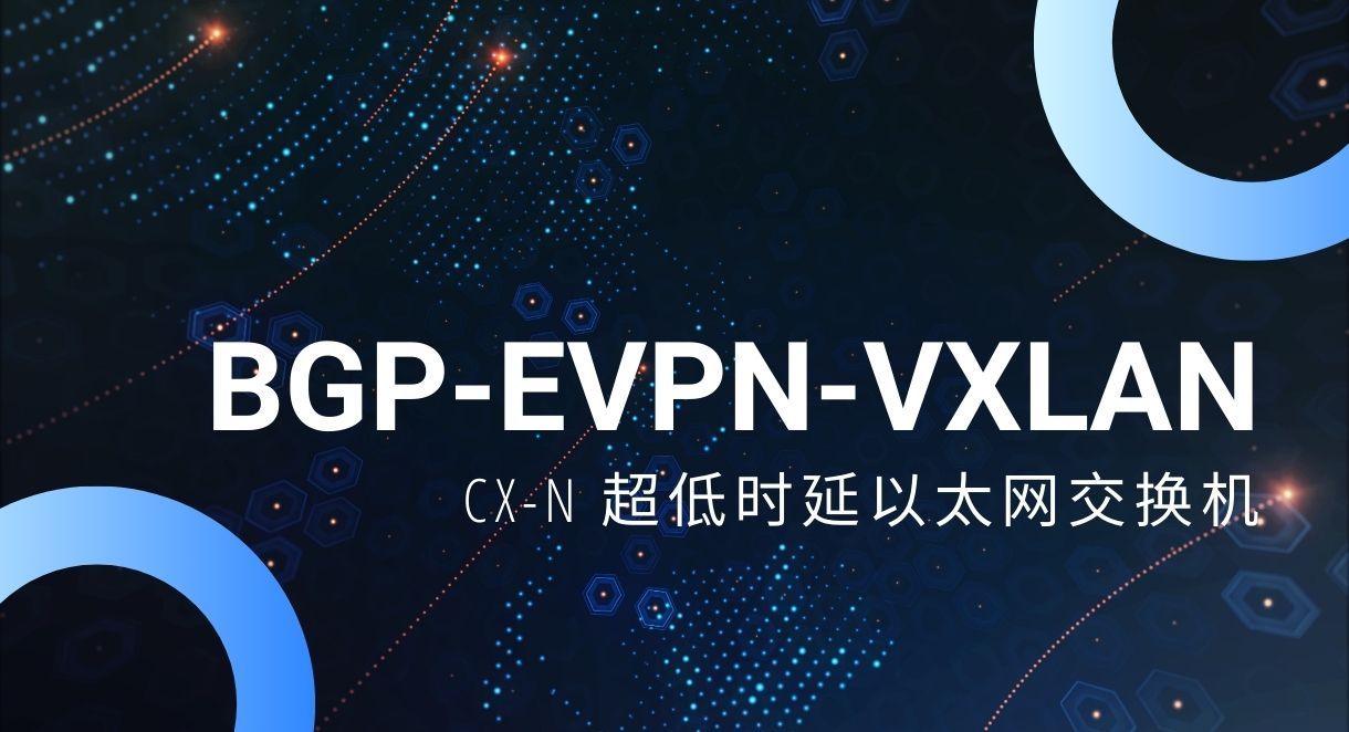 配置指导：CX-N系列交换机部署BGP-EVPN-VXLAN - 星融元Asterfusion