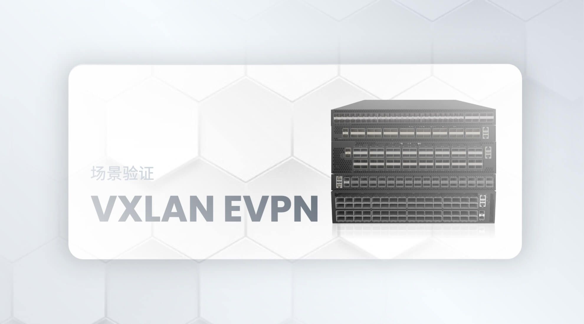 配置手册：CX-N下基于REST API方法的VXLAN EVPN场景验证 - 星融元Asterfusion