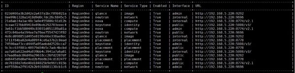 配置指导：OpenStack-Ironic 安装部署 - 星融元Asterfusion