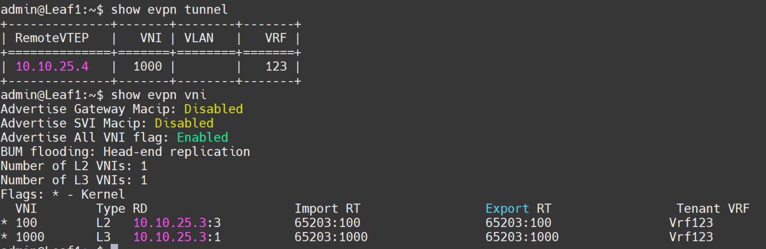 配置手册：CX-N下基于REST API方法的VXLAN EVPN场景验证 - 星融元Asterfusion