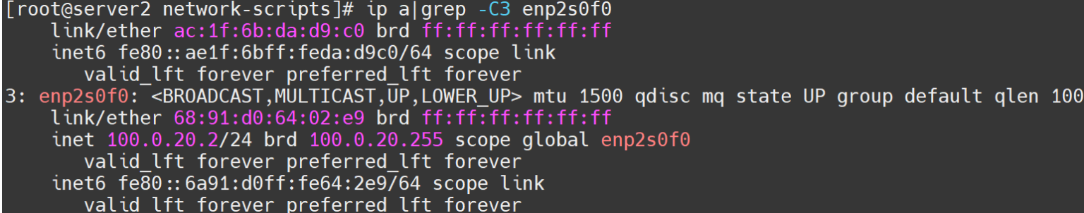 配置手册：CX-N下基于REST API方法的VXLAN EVPN场景验证 - 星融元Asterfusion