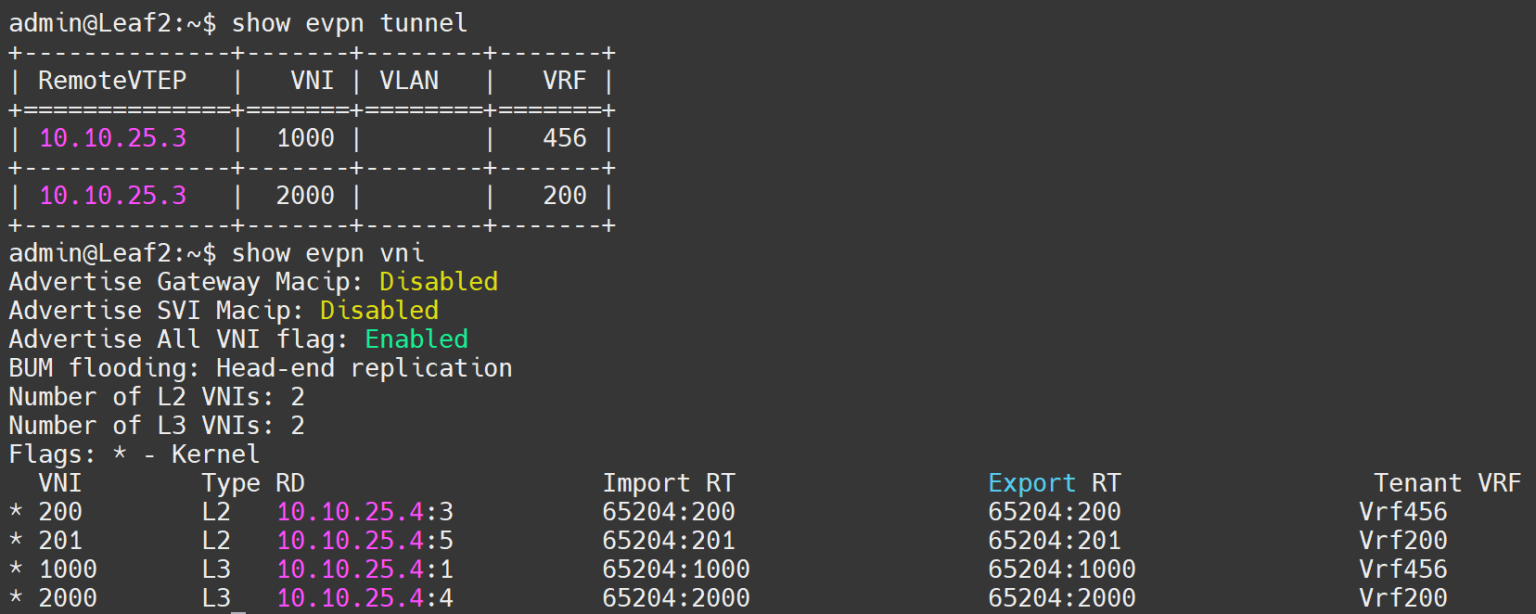 配置手册：CX-N下基于REST API方法的VXLAN EVPN场景验证 - 星融元Asterfusion