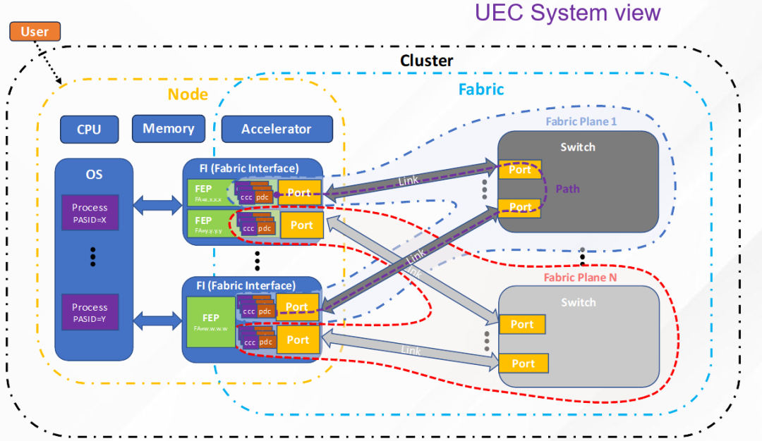 揭秘超以太网联盟（UEC）1.0 规范最新进展（2024Q4）